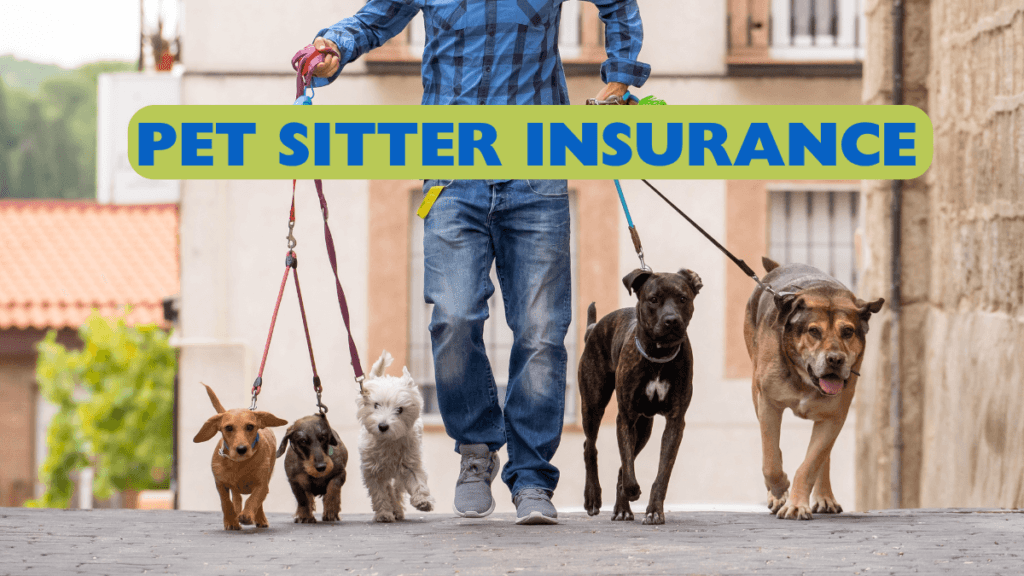 Pet Sitter Insurance: 6 Reasons Why Your Pet Sitter Should Have ...