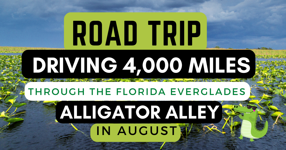 Road Trip: Driving 4,000 miles from Texas to Florida Everglades through ...
